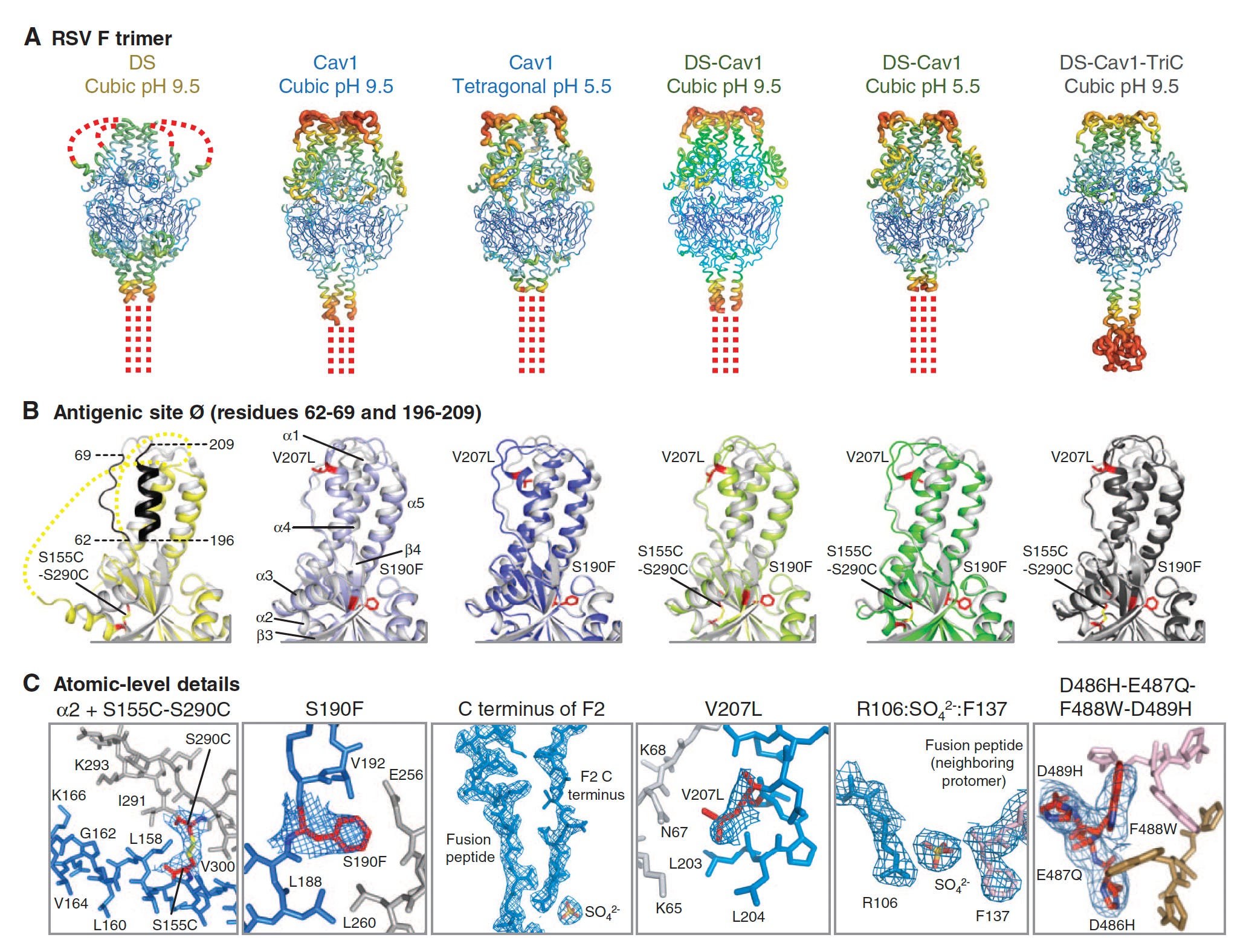 Why the new RSV vaccines are a BFD - by Eric Topol
