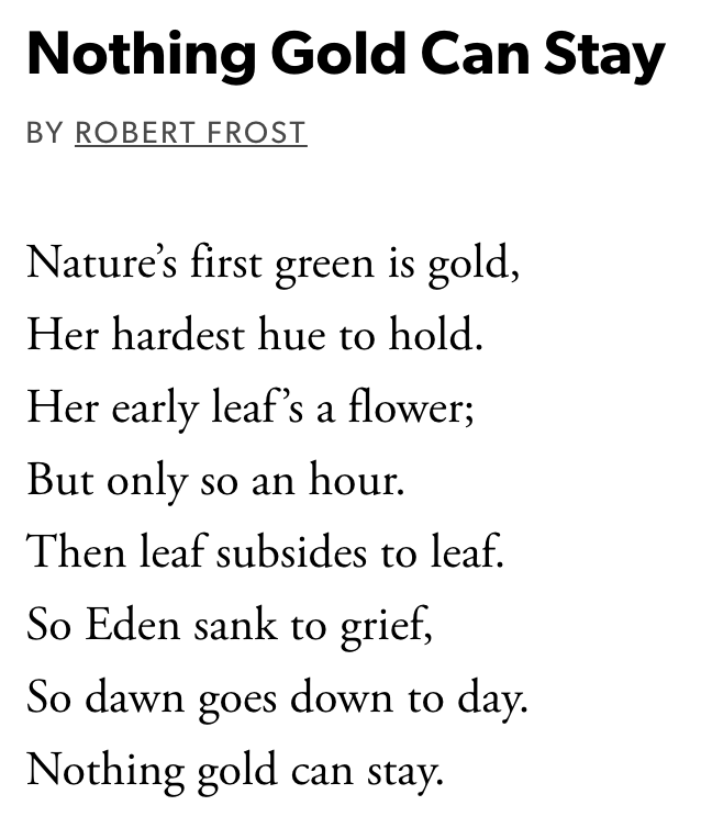 The fertile darkness - by Whitney Casal