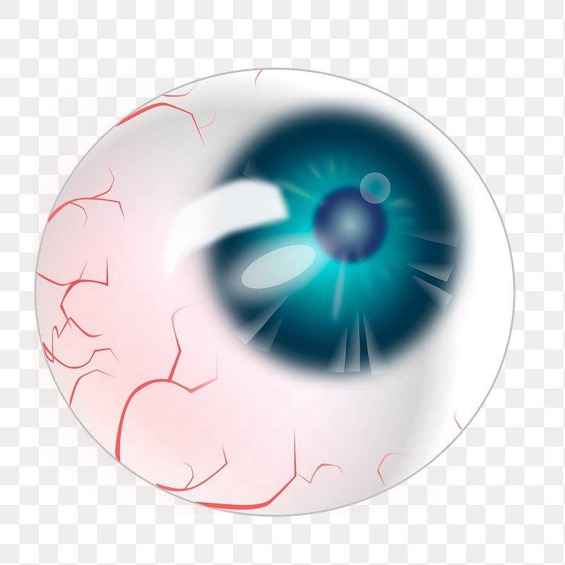 Understanding the Human Eye and Visual Perception
