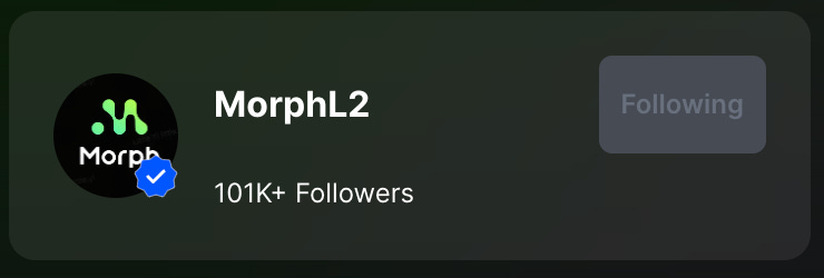 Morph のエアドロップ戦略【2000万ドルを調達したLayer2で無料仮想通貨を狙う】