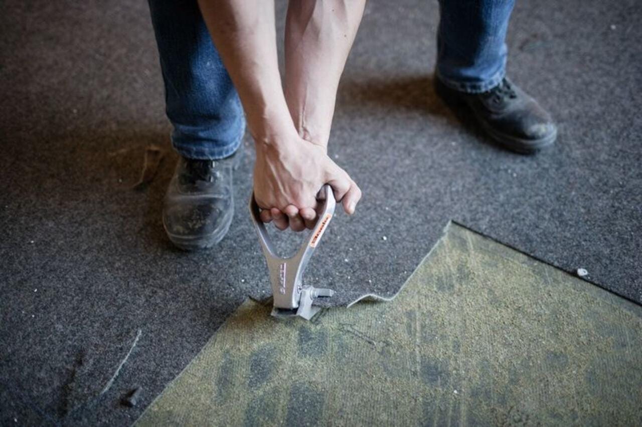 Mr. Ince and the Hope of Being Needed - by Mario Kaiser