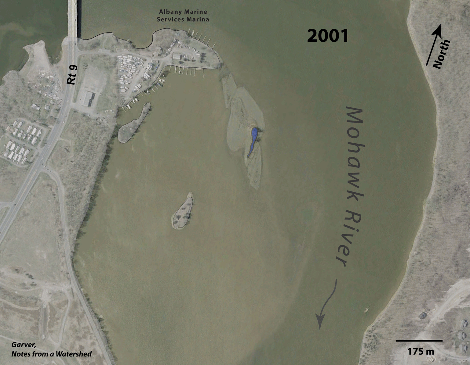 Invasive Water Chestnut is choking the lower Mohawk