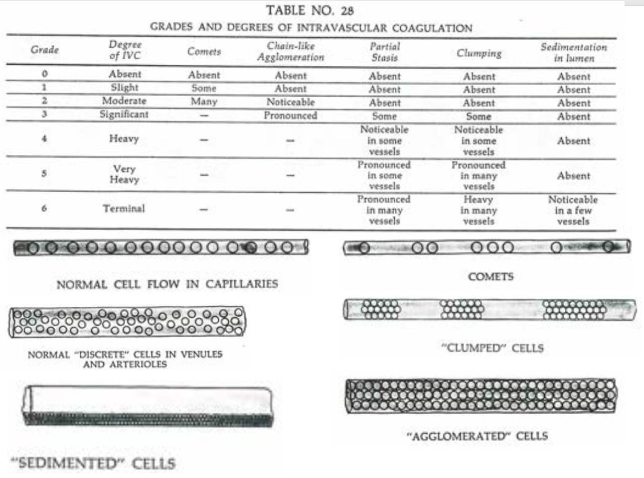 What Makes All Vaccines So Dangerous?