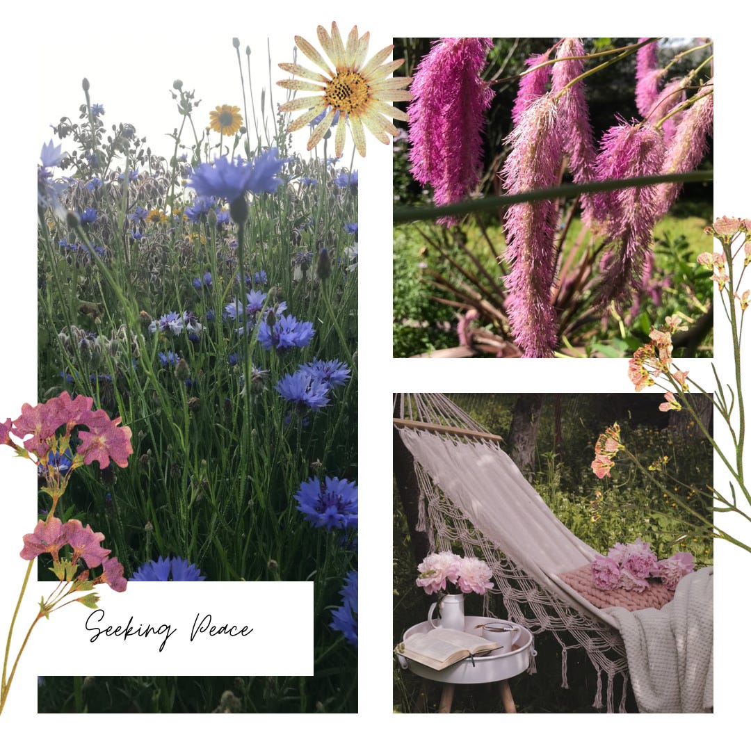 Finding Calm In Chaos - by Suzy Rowlands - Suzy Exhales