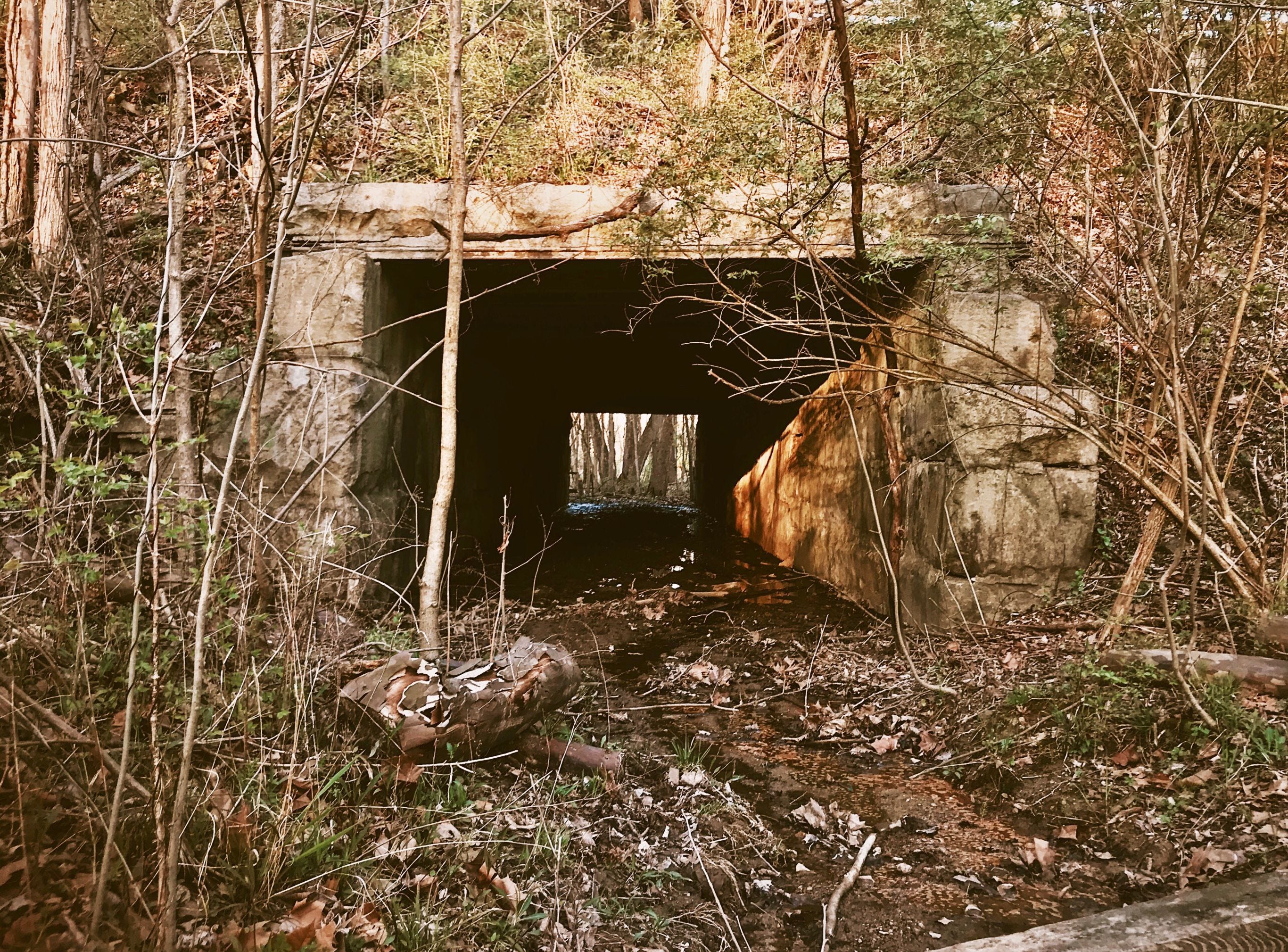Skeletons of Fox Hollow Farm: The Hunt for Herb Baumeister