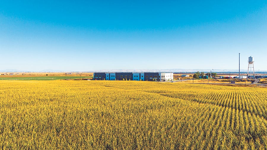 This startup is building homes with hemp - Climatopia