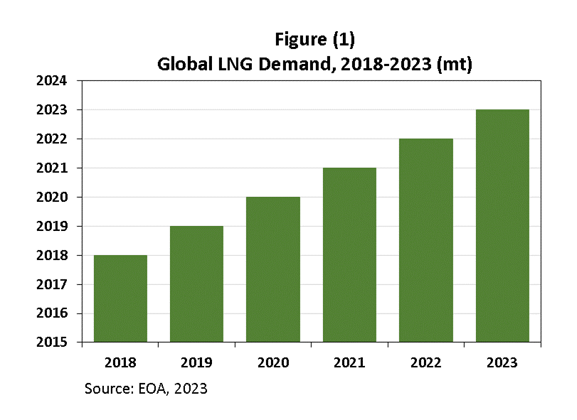 Global LNG Market in 2023 and Outlook for 2024