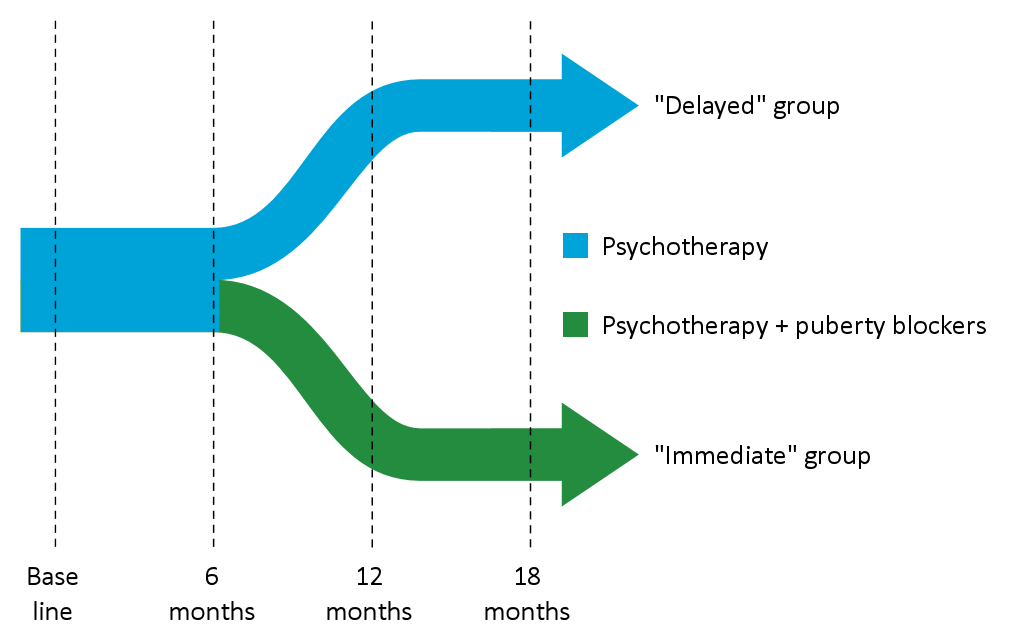 Parent Summary: Psychological Support, Puberty Suppression, and ...