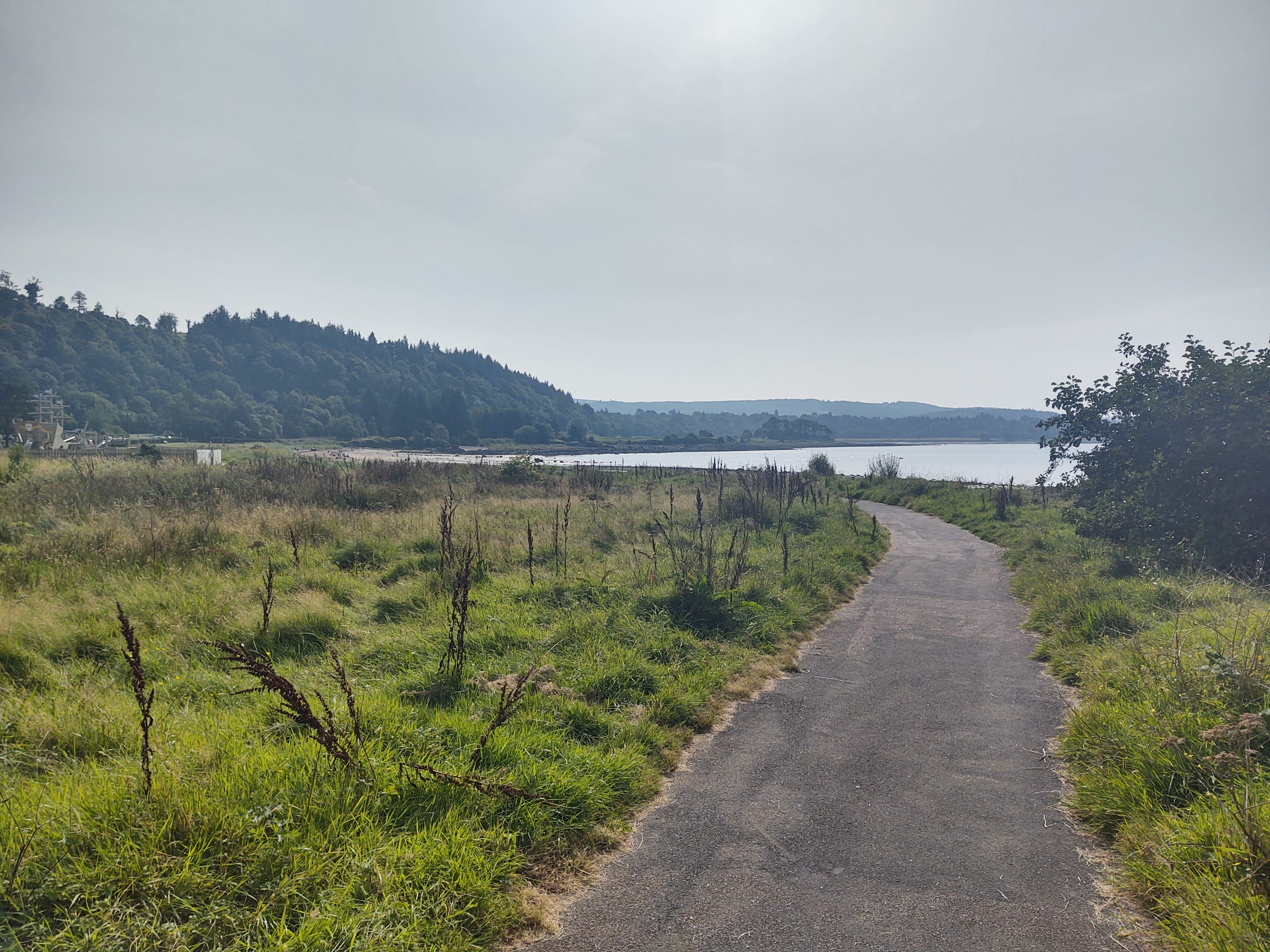 A Trip On The Train - by Lynn Ferguson