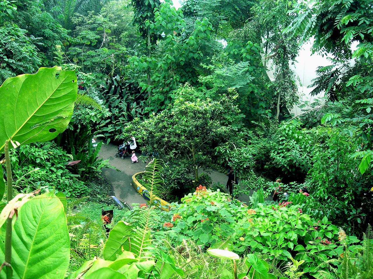 Chapter 3. Public Information: Ecology - by Brad Chen