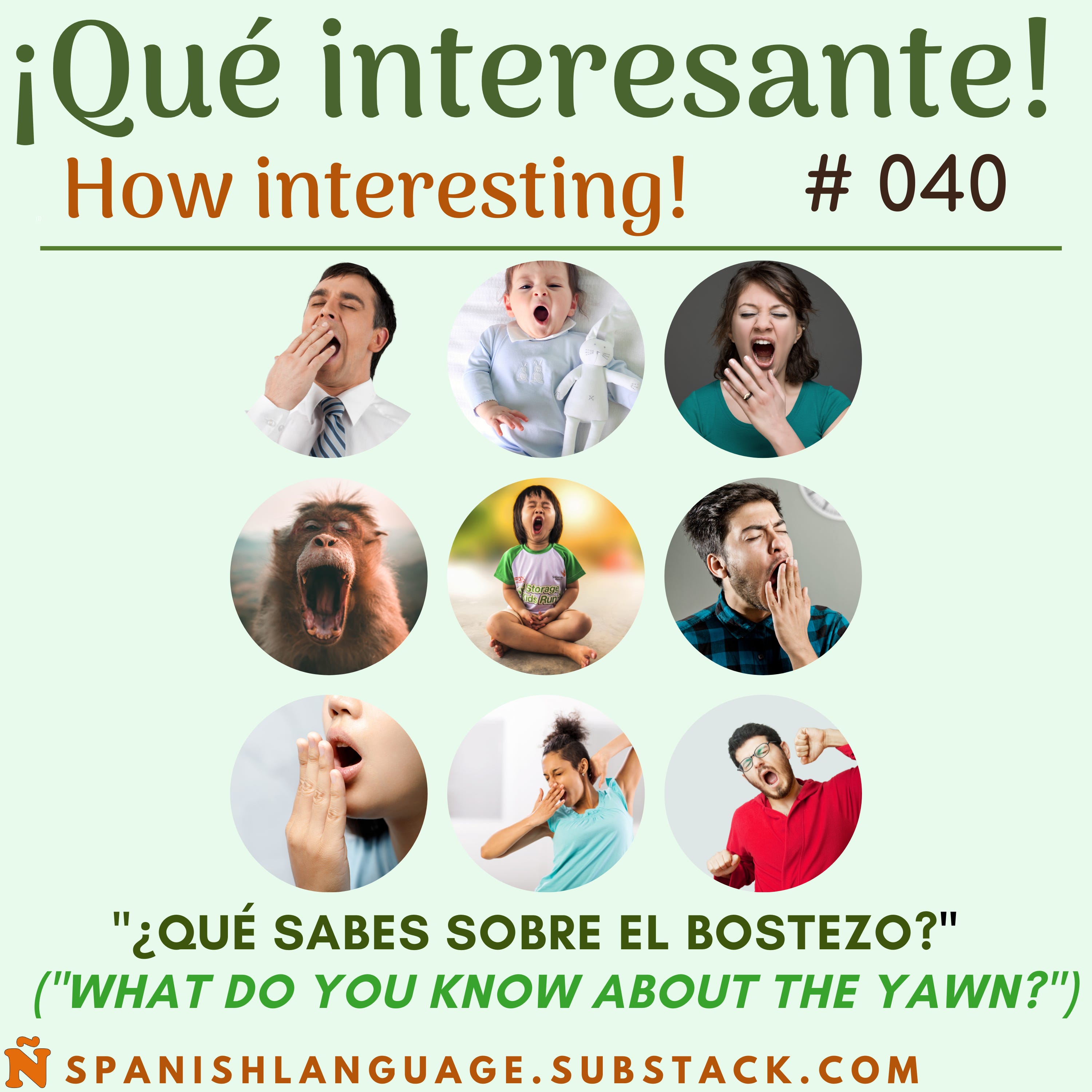 ¡Qué interesante! (How interesting!) #040