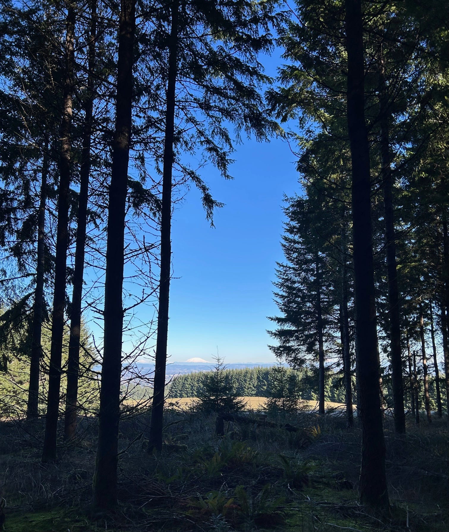 Eyes on your own paper. - by Adrien - Looks Good