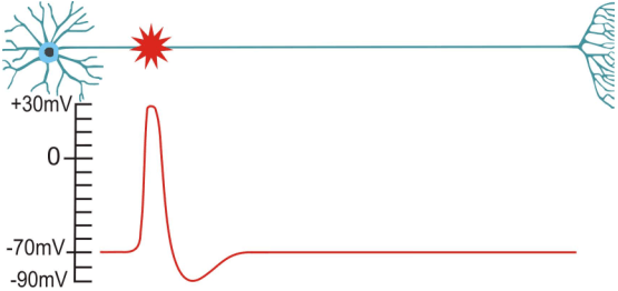 AI Model Optimisation: Breaking a Self-Referential Paradigm