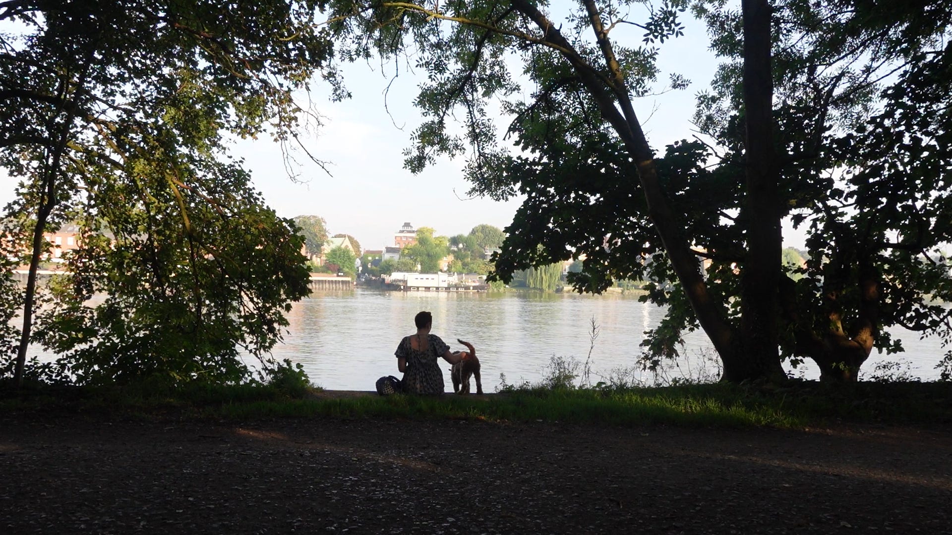 The power of connection - by Charlie Rewilding - REWILD