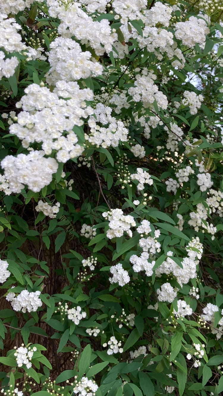 time out - by kitten seeking answers