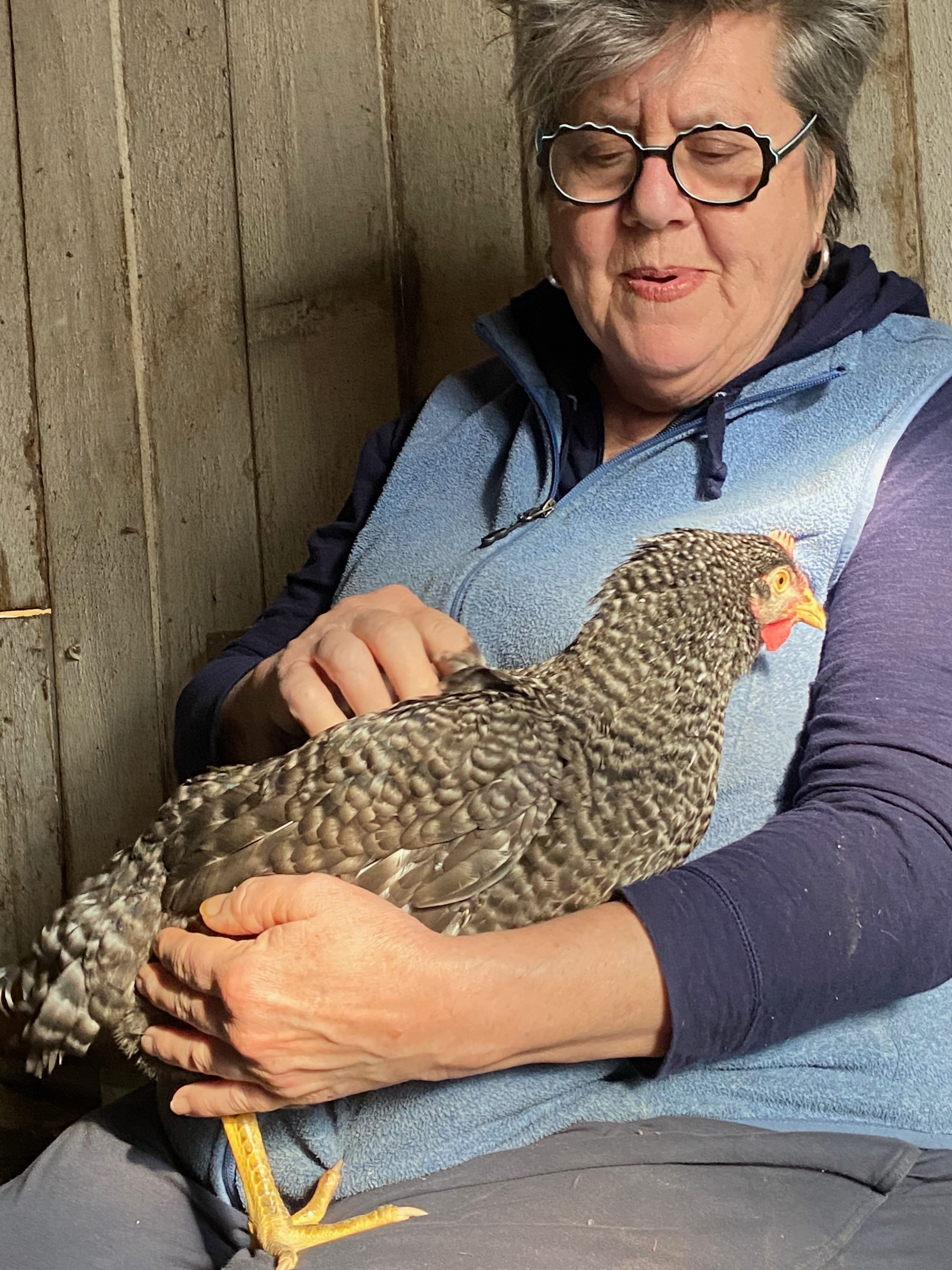 Chicken Meditation on French Eggs