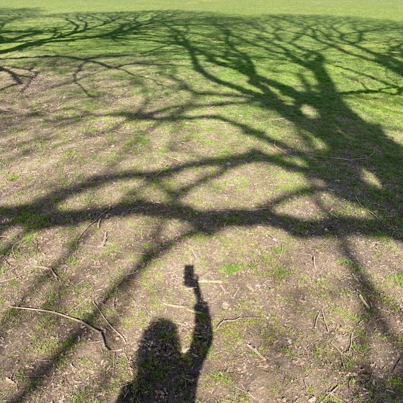 sage 🪶 | Substack