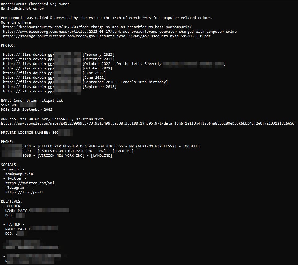 Pompompurin and BreachForums - by Arden - Echoes of the Net