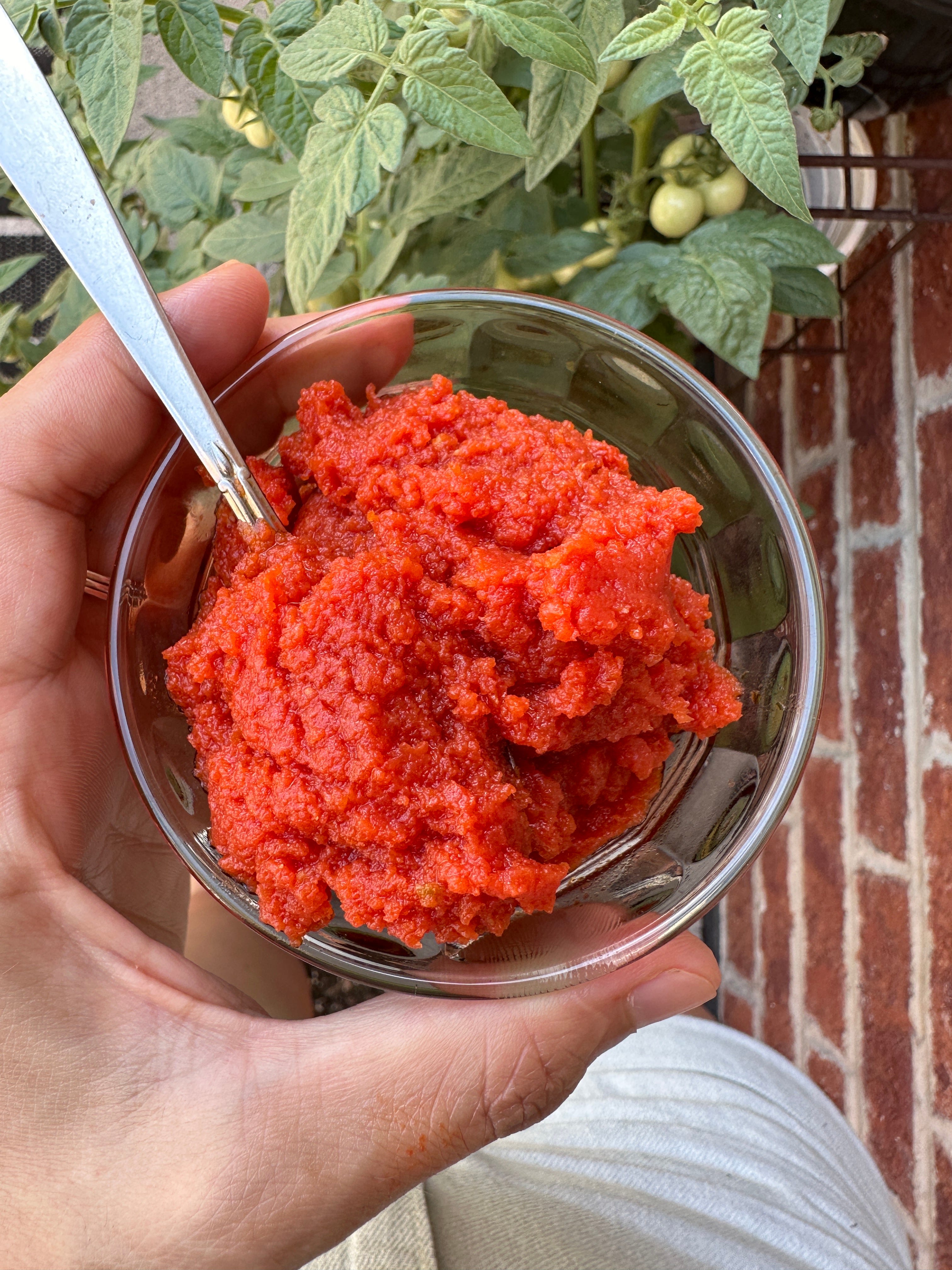 Homemade Tomato Paste - by Farideh Sadeghin