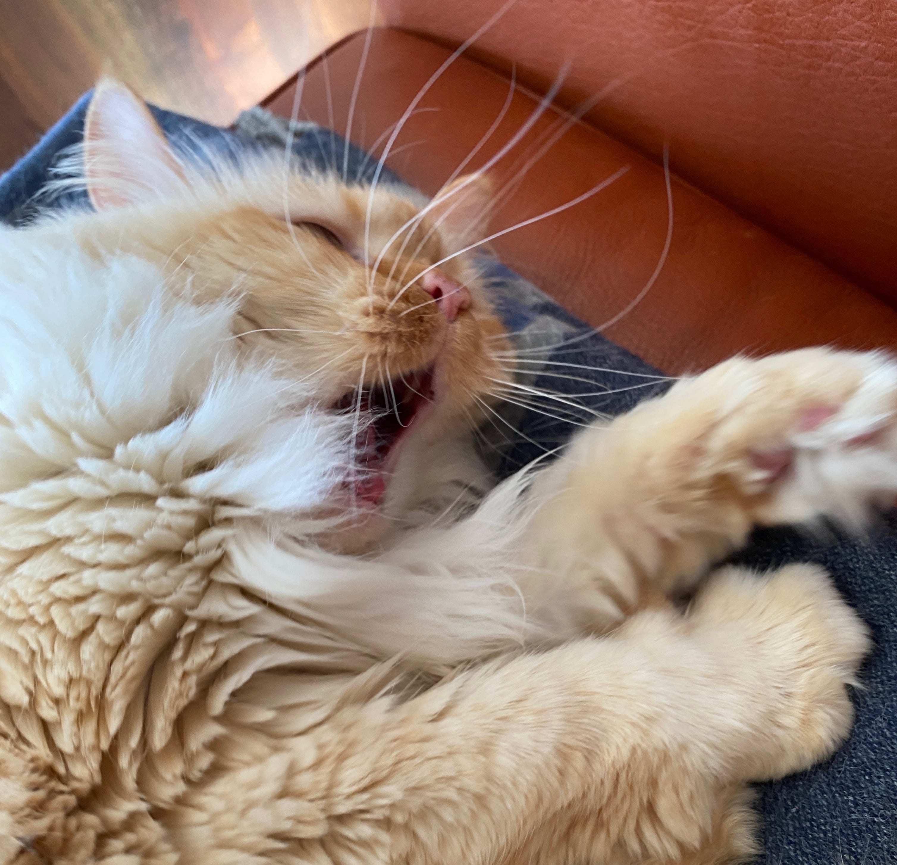 Ten Months Notice - Samantha Bee