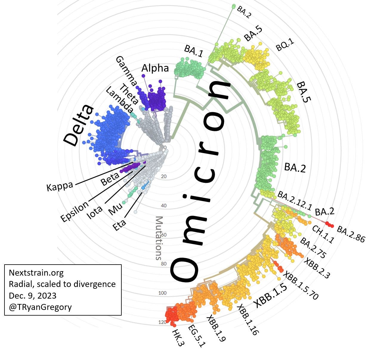The alphabet soup explained: how SARS-CoV-2 variants are named