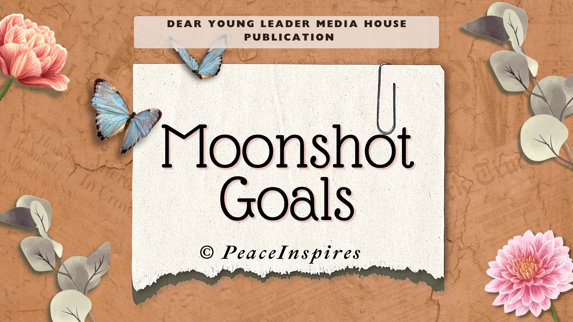 MOONSHOT GOALS - Dear Young Leader Media House