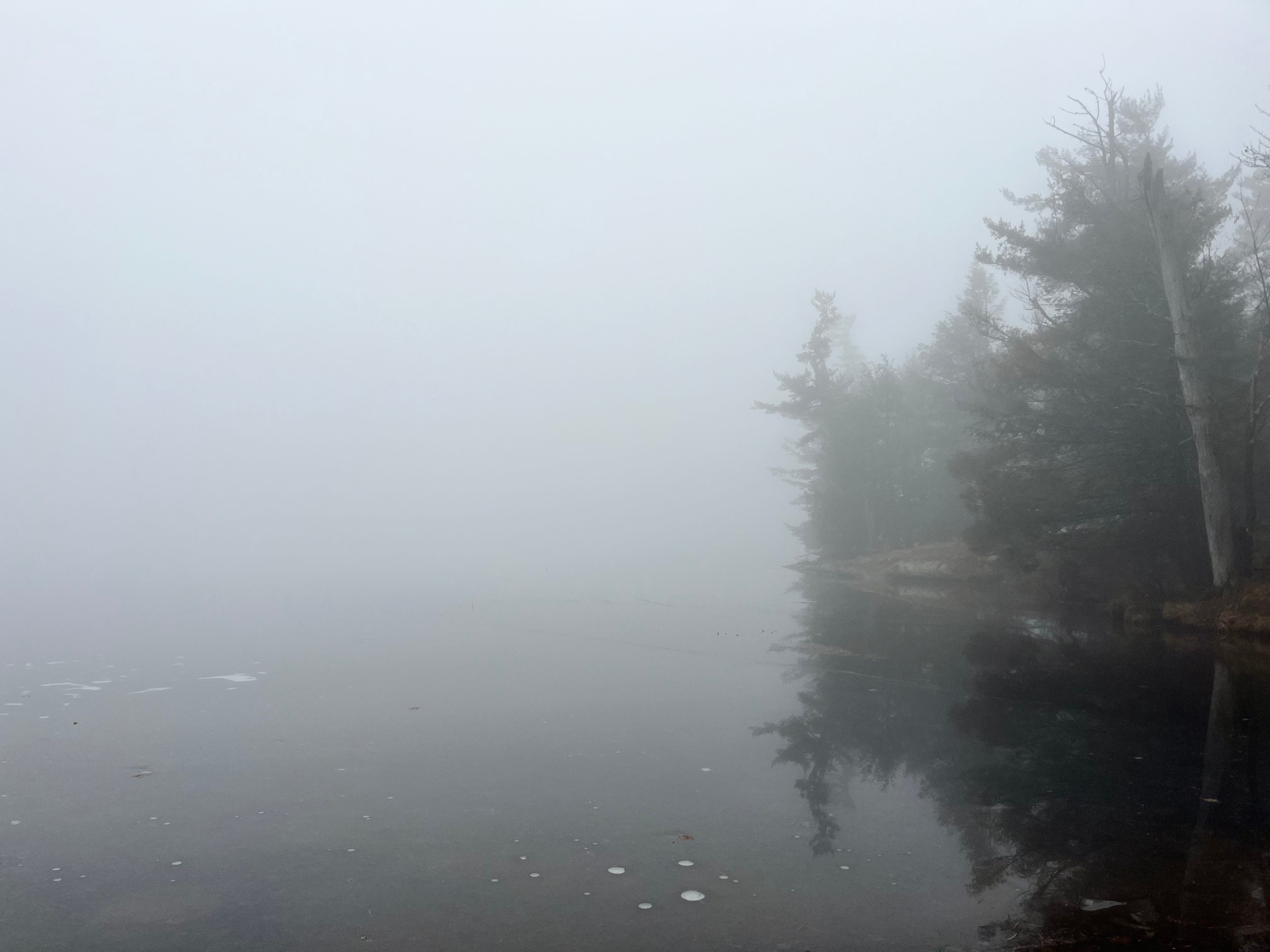 The Fog - by Niva Dorell - A Writer's Think Tank
