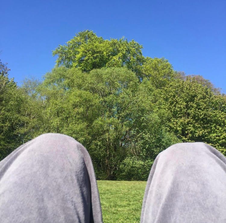 The Grounding Series 1 - by Rebecca Warner-Hodgkin