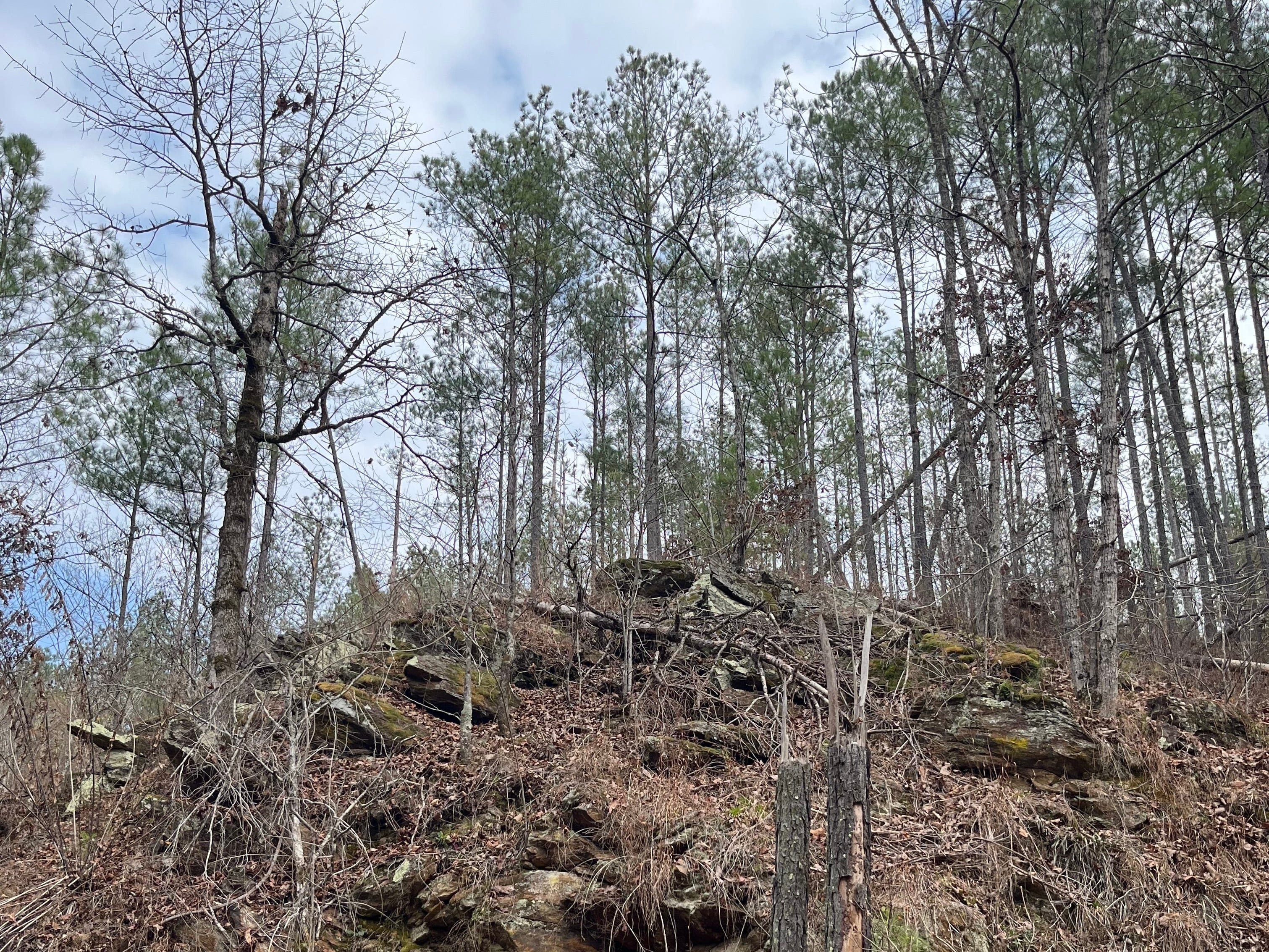 The Alabama graphite belt - by Boyce Upholt - southlands