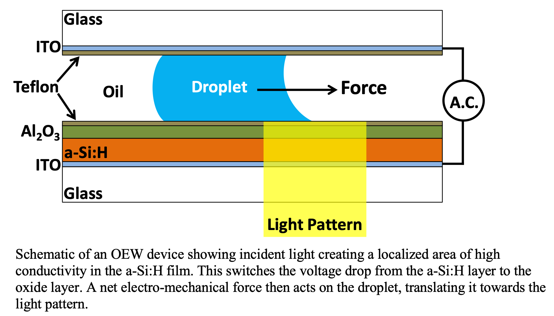 Lightcast Discovery Ltd - by Nava Whiteford