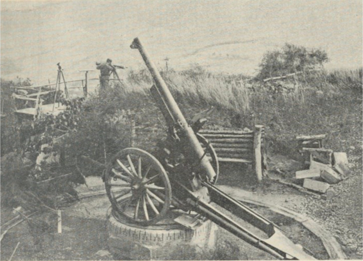 French Field Guns in German Service