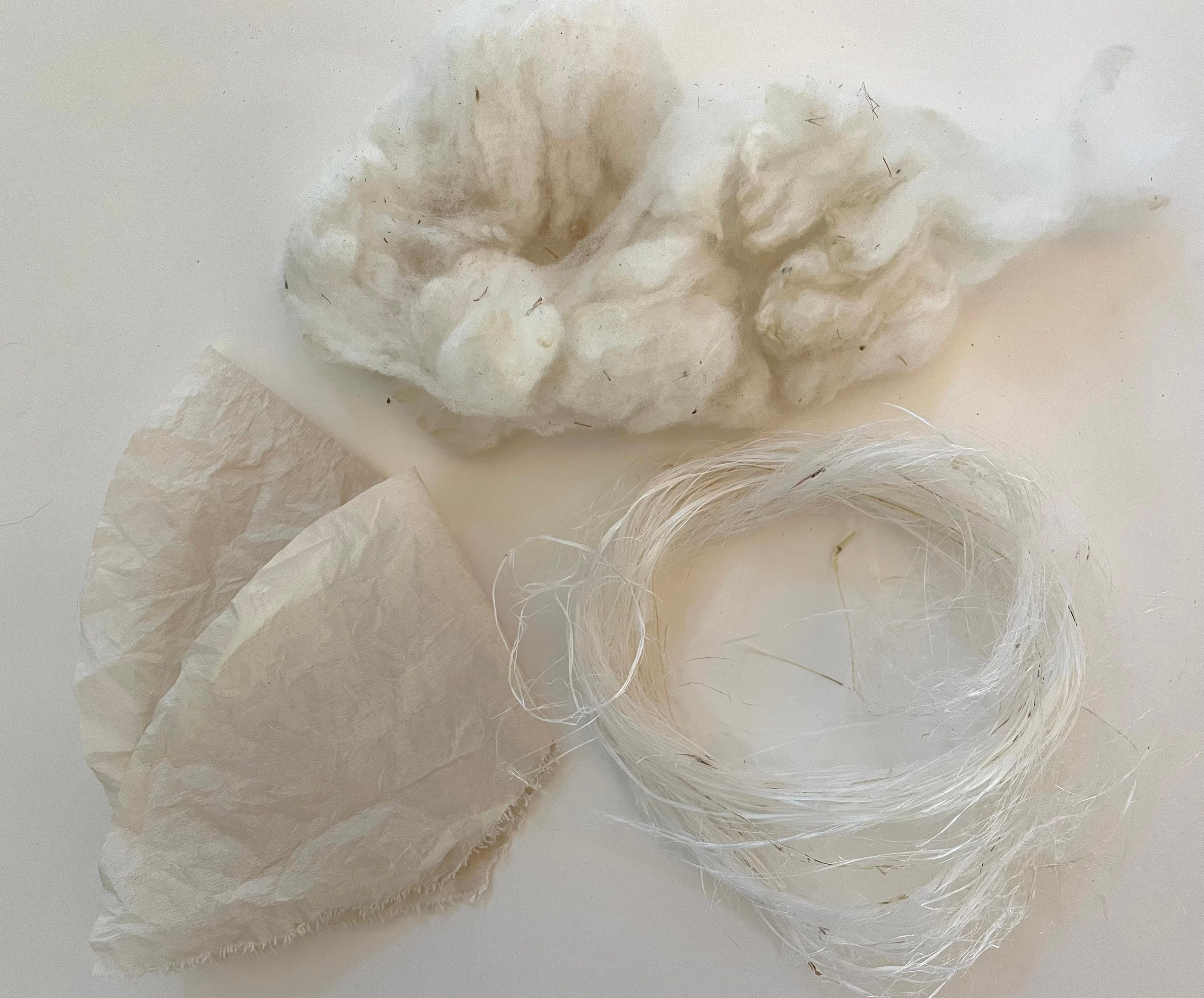 once they were trees - by Sarah C Swett - The Gusset