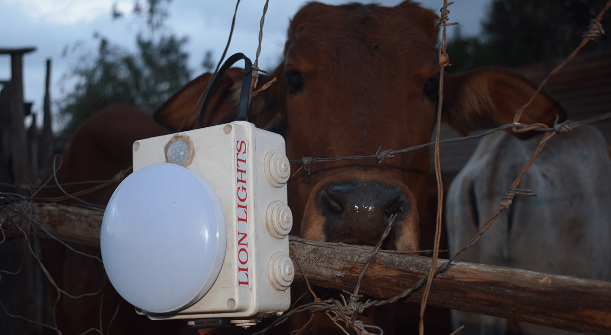 This Kenyan inventor is saving lives and preserving endangered species