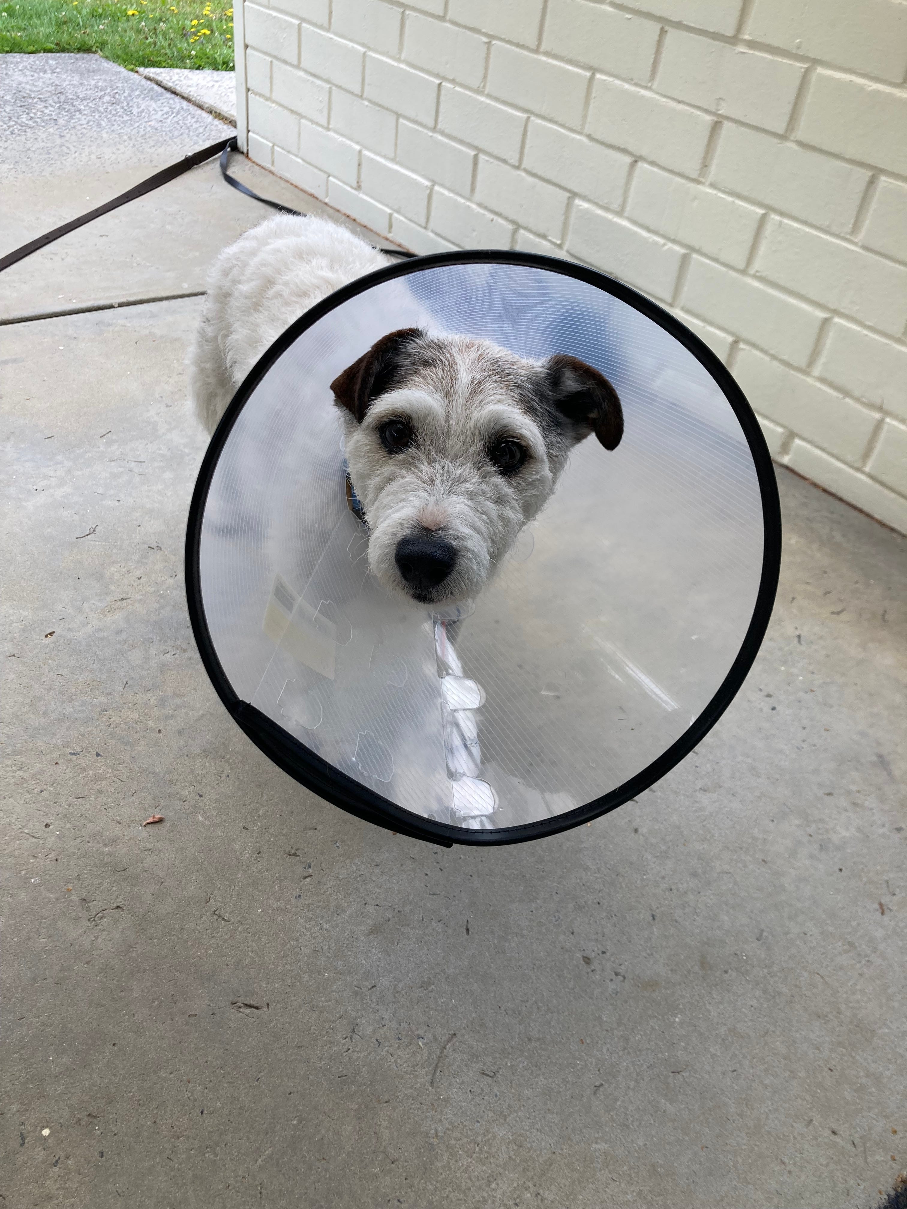 Woe... - by prue batten - Knots in the String