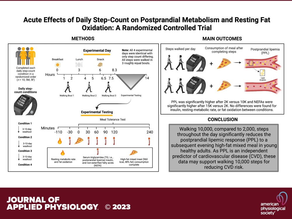 Physiology Friday #185: Does Increasing Daily Step Count Have Metabolic ...