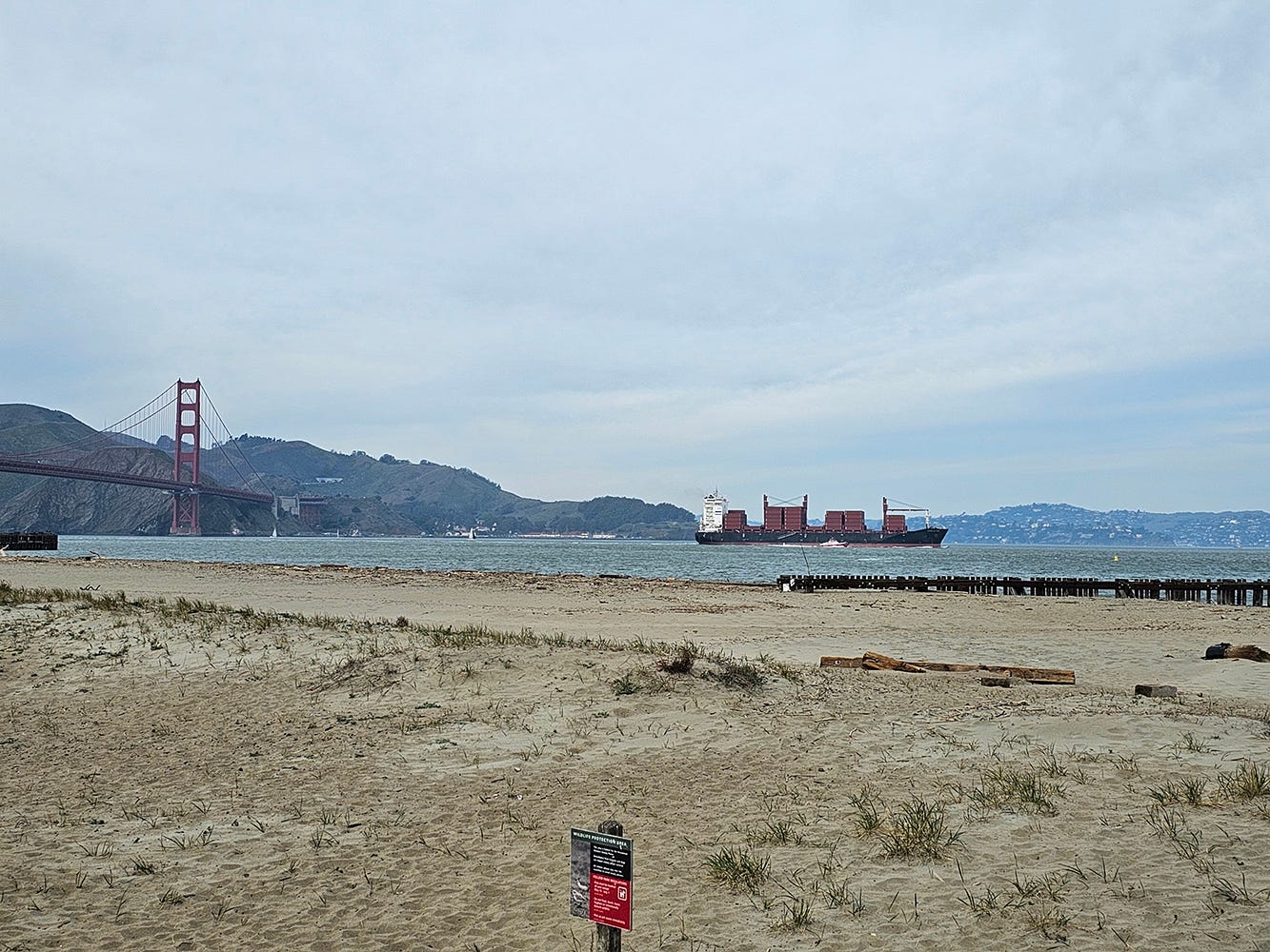 Samsung Galaxy S23 Ultra camera review: 200MP photos, 100x zoom and ...