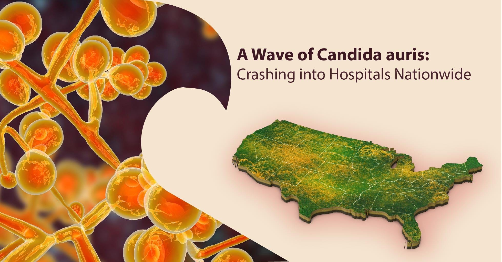Candida Auris: What to Know About the Fungal Infection Spreading Across ...