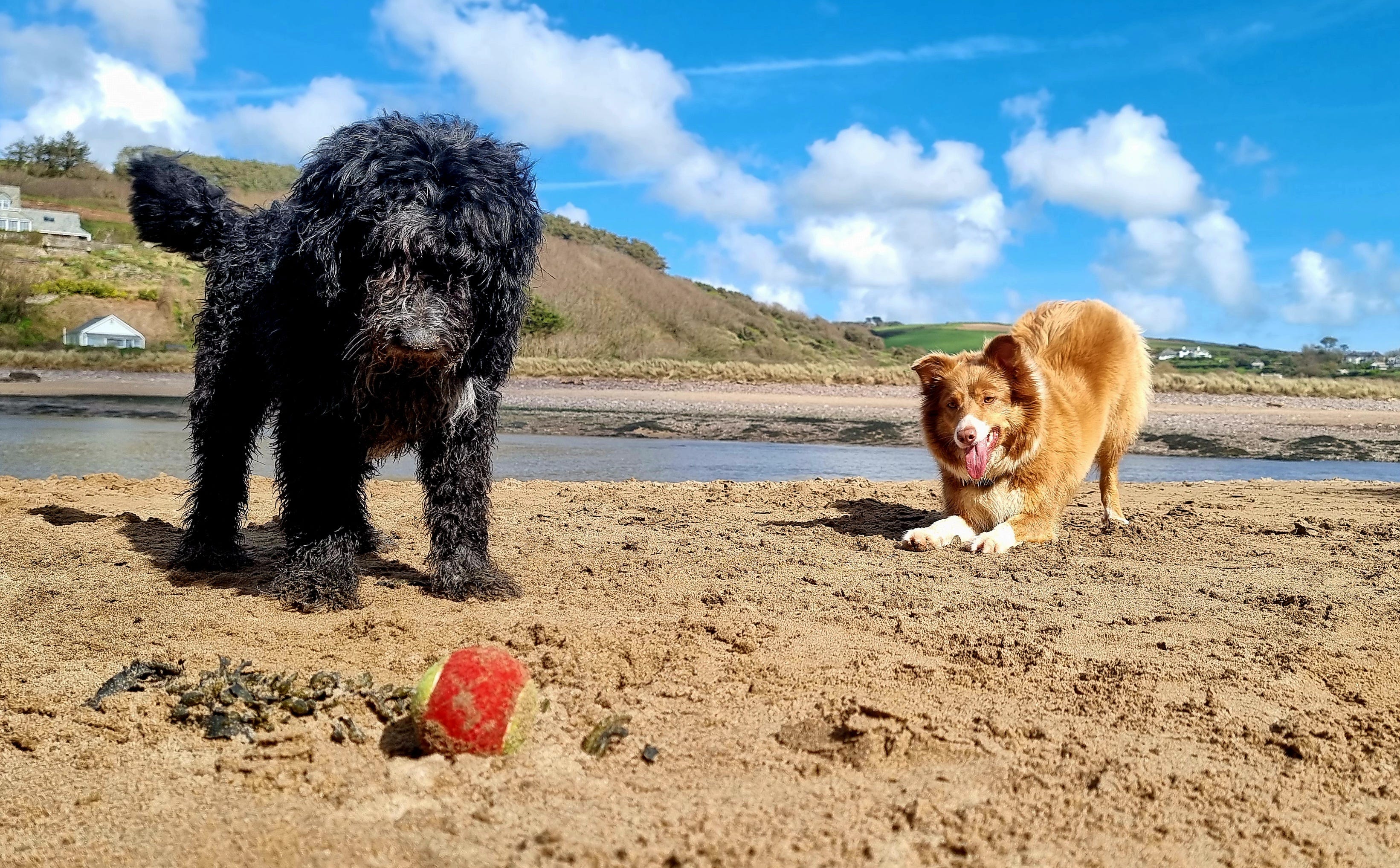 The Kingfisher - Part Five - by George Mahood