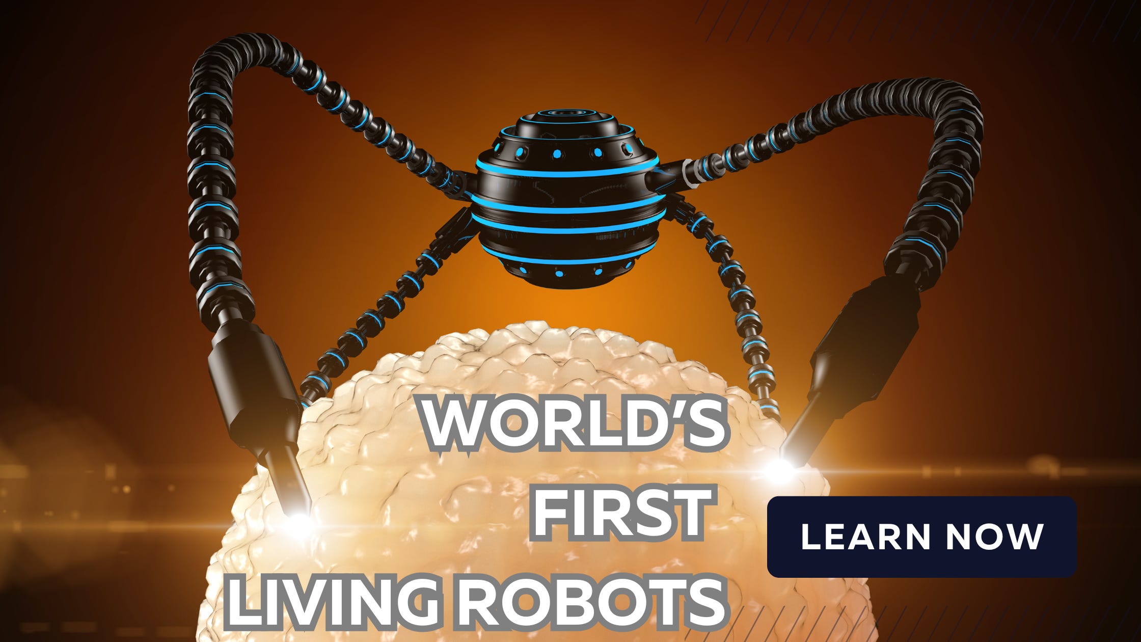 What Are Xenobots? - by sushil - INSIGHT TODAY