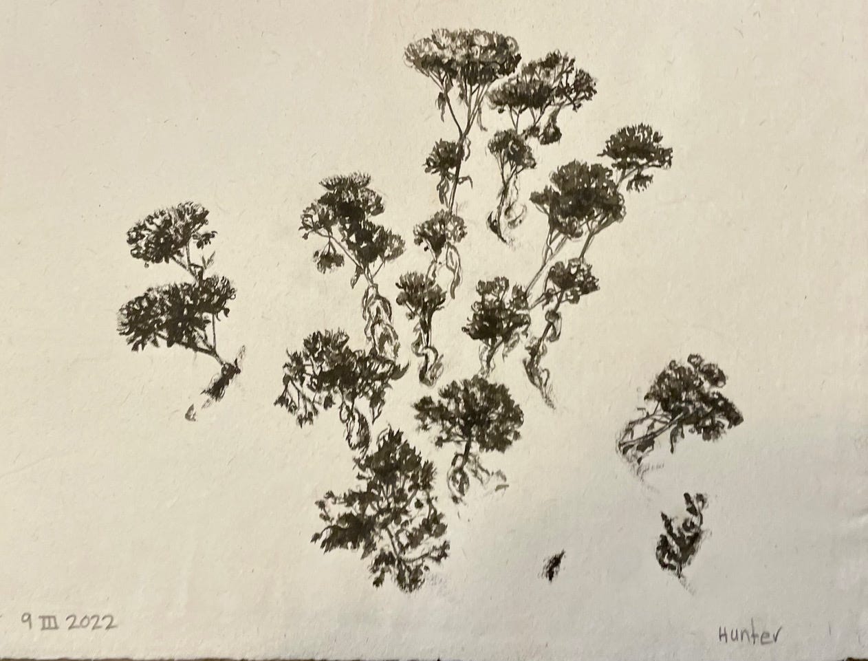 Introducing Artist Paul Hunter - by Heather Murray