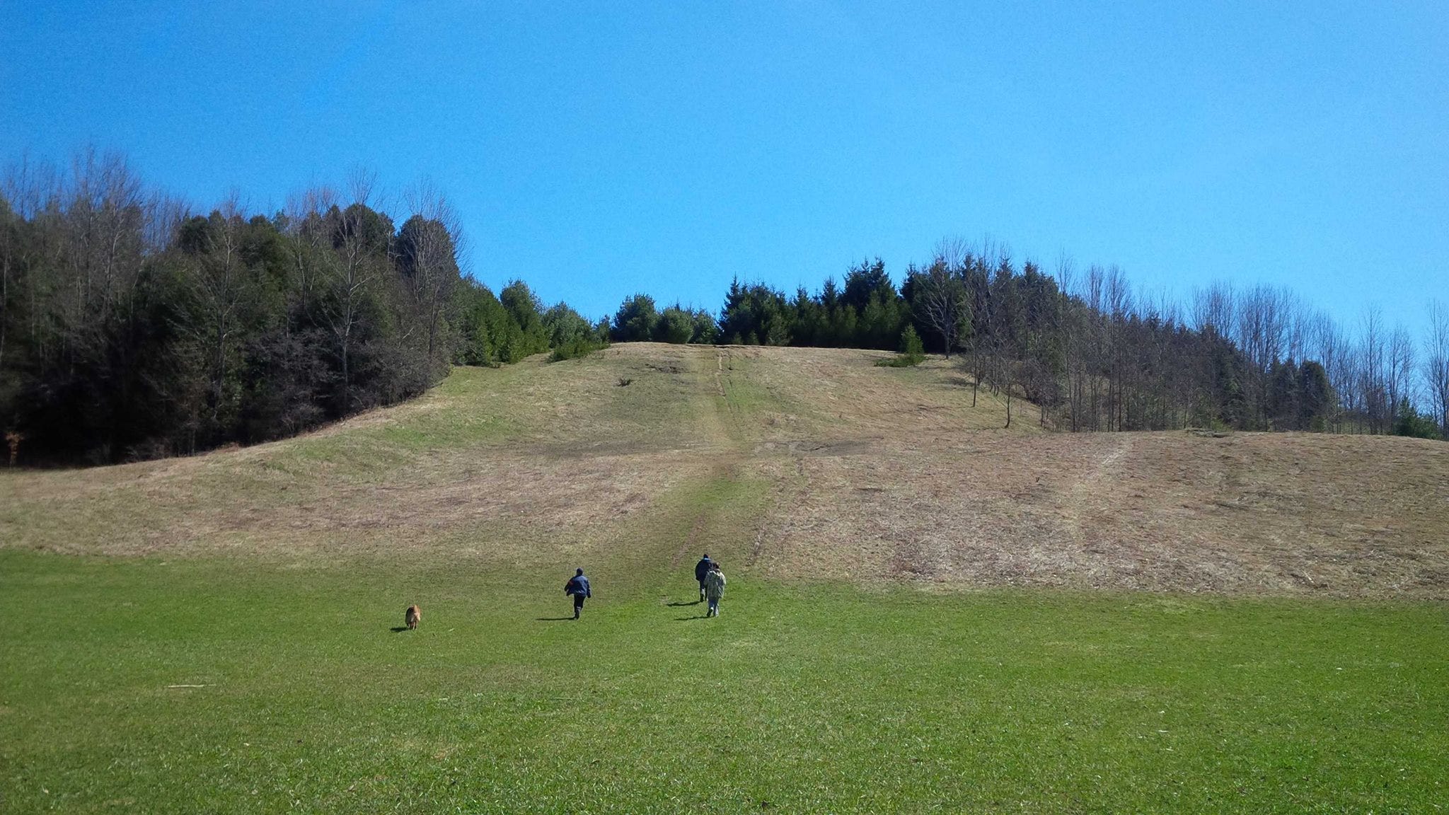 Work Continues to Update the Harrison Park Master Plan