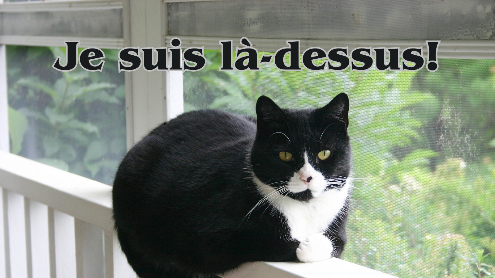 Do you know the French word “là-dessus”?
