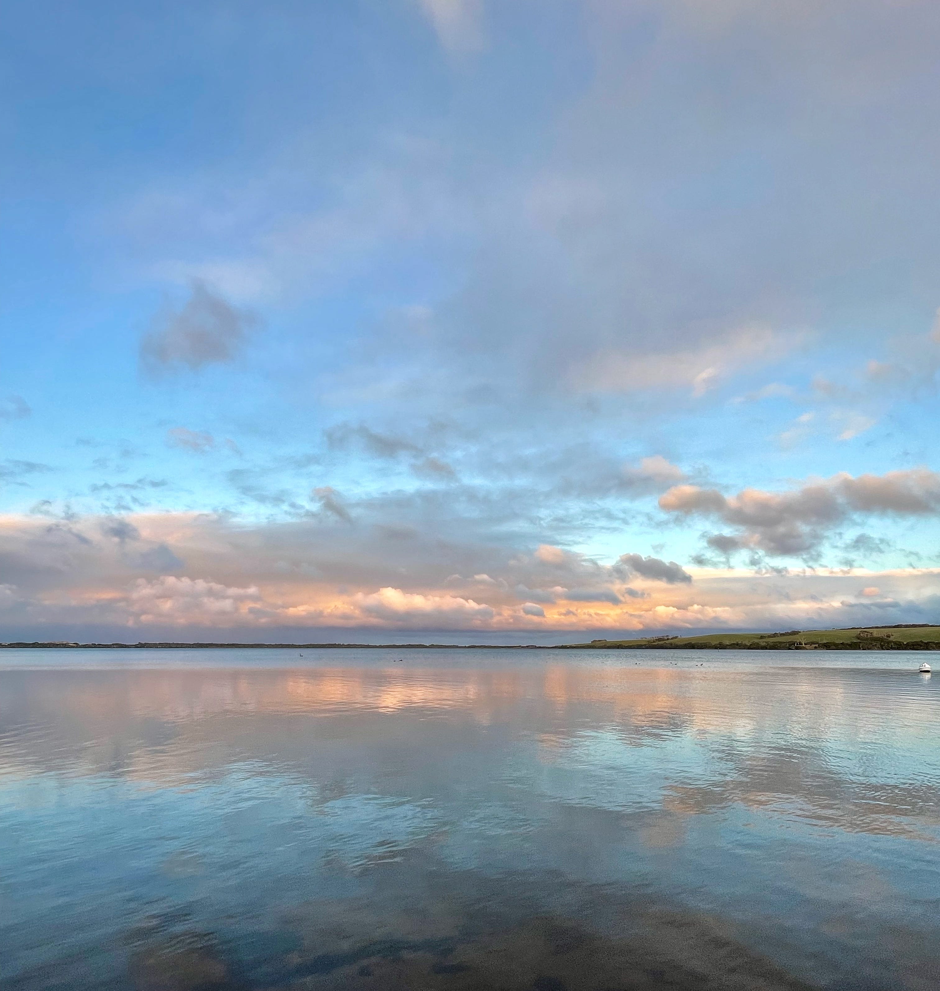 The Sit Spot | Maggie Mackellar | Substack