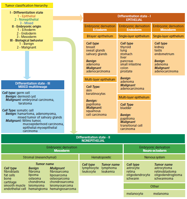 The Complexity of Cancer: Understanding the Basic Nature