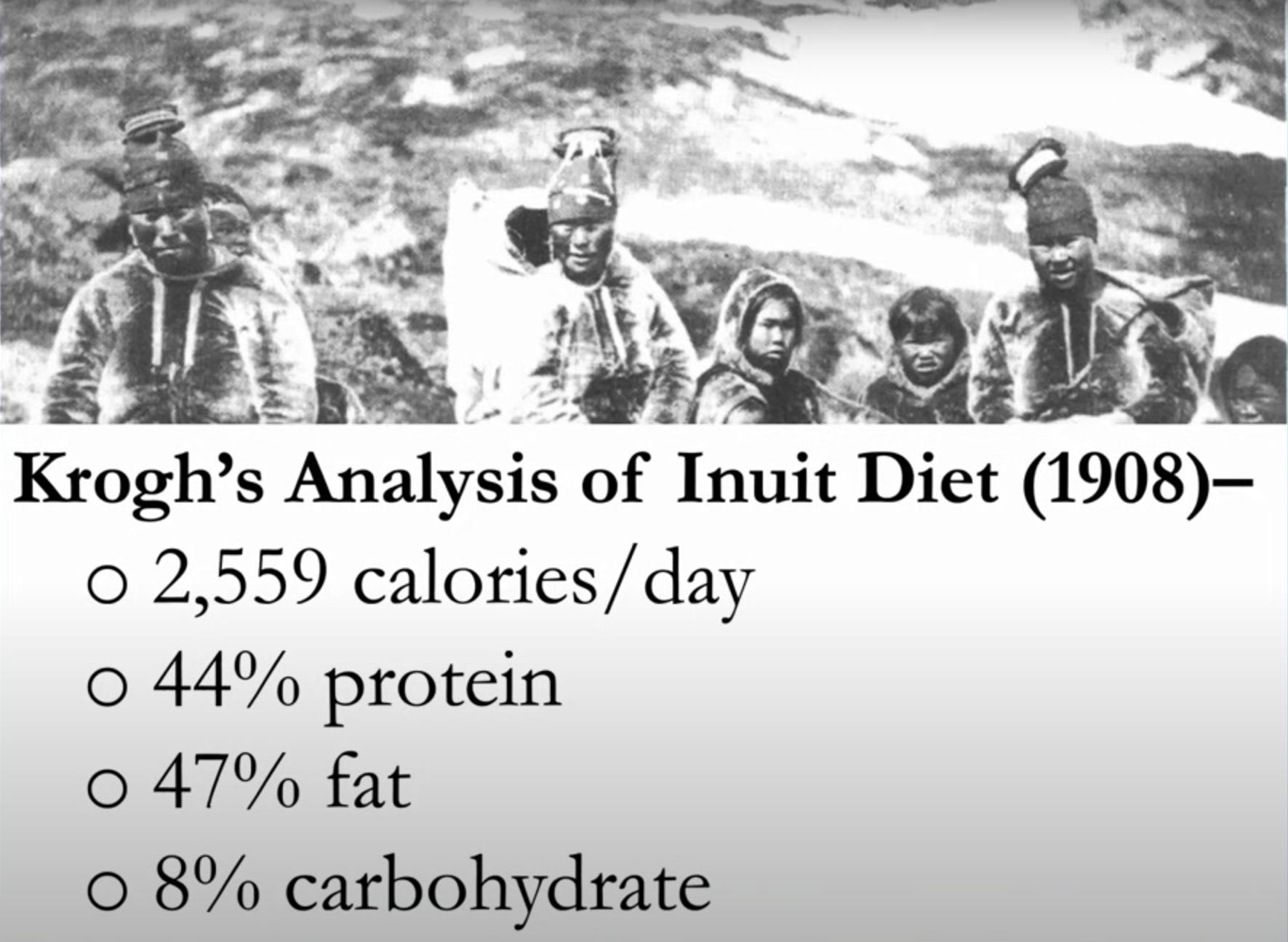 Eating Fat Like Never Before - by Nick Jikomes