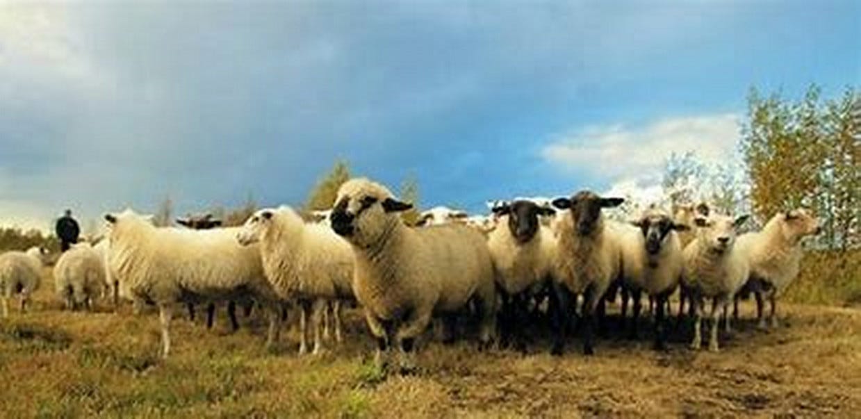 Οίμος-Αθήνα: «ΜΕΡΙΚΕΣ ΦΟΡΕΣ ΤΑ ΧΕΙΡΟΤΕΡΑ ΤΕΡΑΤΑ ΕΙΝΑΙ ΑΠΛΩΣ ΟΙ ΑΝΘΡΩΠΟΙ ...
