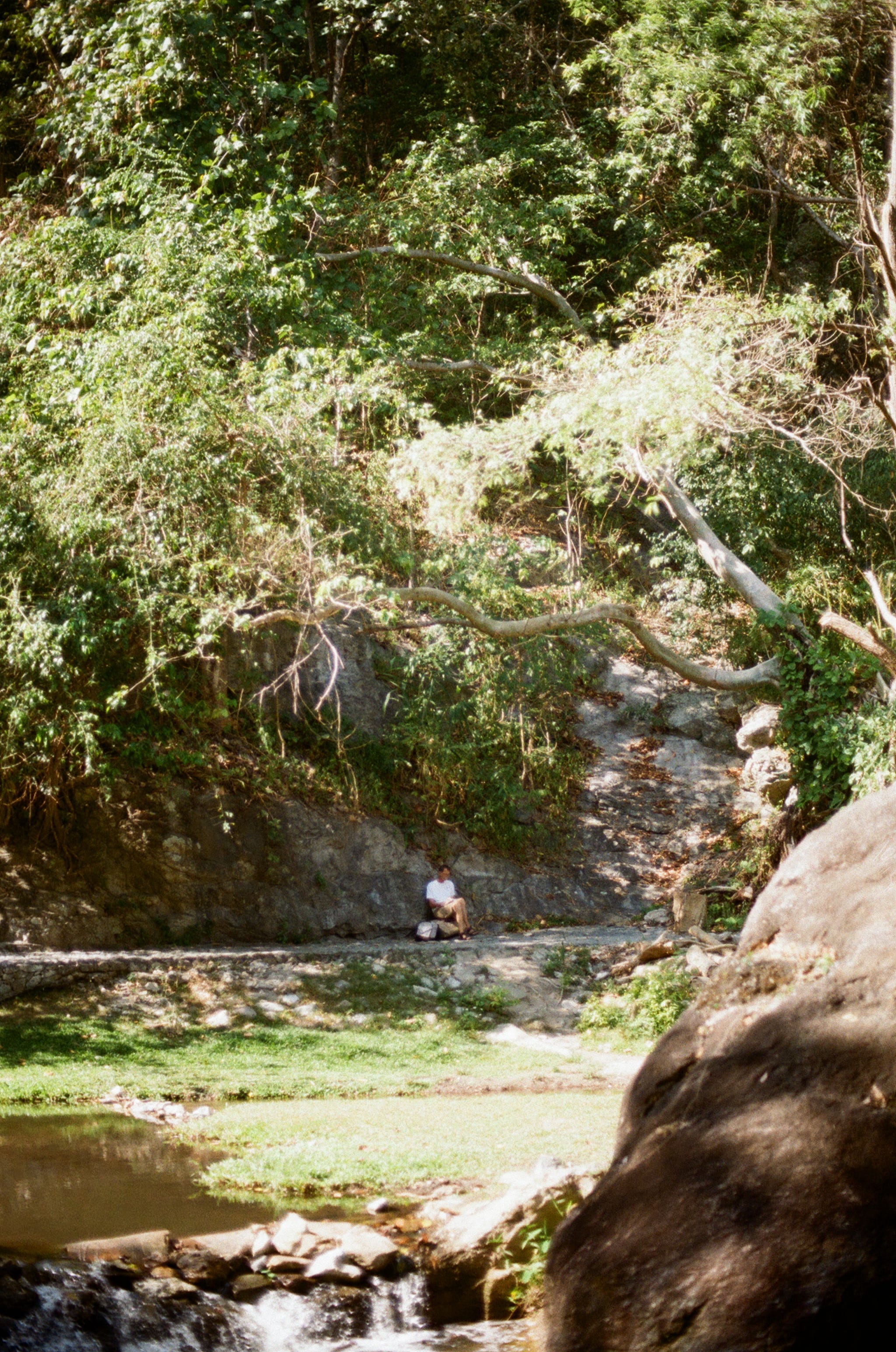 freedom - Miyo Jade's Substack