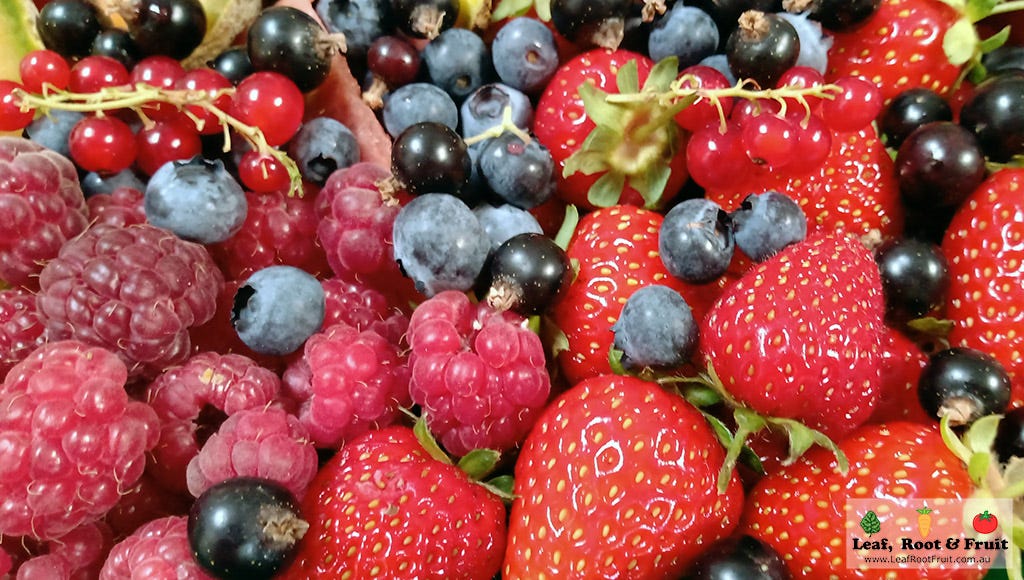 Growing berries (especially for renters)