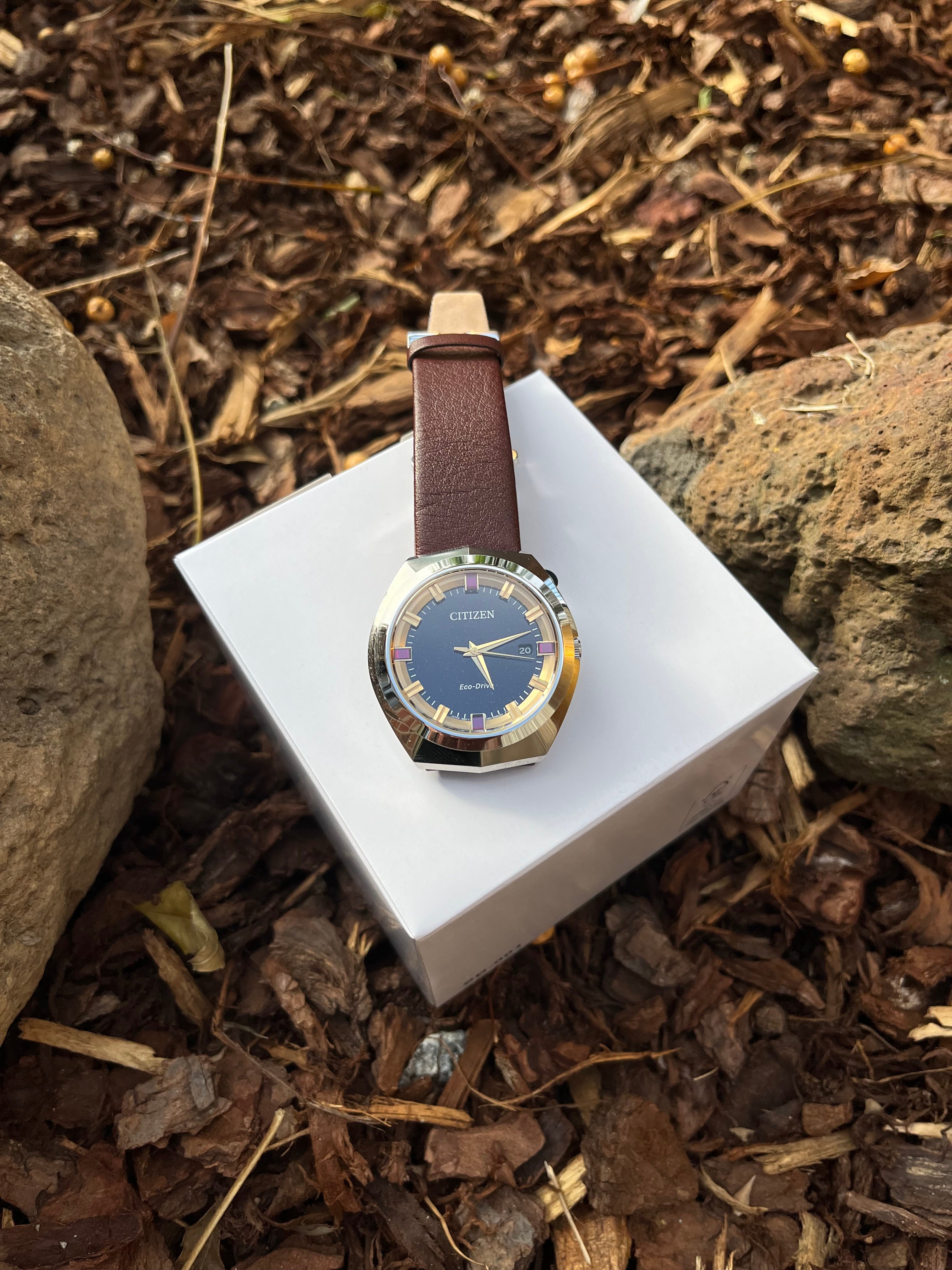 Citizen BN1010-05E - by Alex Boz - The Gnomonist