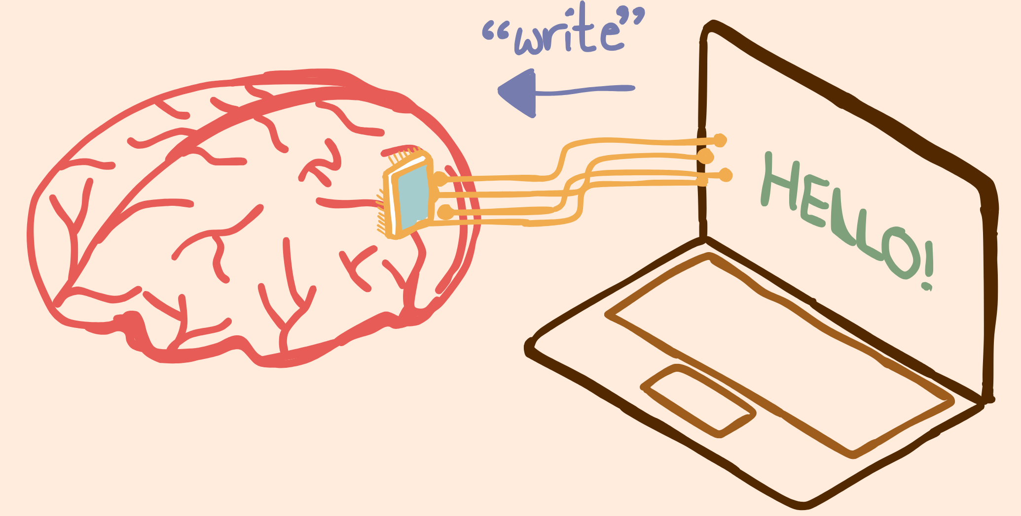 The Neurotech Startup Landscape (2/2) - by Tara Shirvaikar